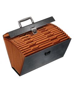 Case Files - Expanding Filing - Filing