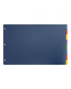 Cardinal Dividers & Tabs