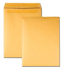 10 x 13 Catalog Envelopes with Self Seal Closure, for Mailing, Storage ...