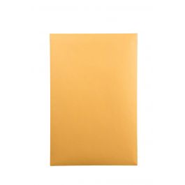 10 x 15 Catalog Envelopes with Self Seal Closure, for Mailing, Storage ...