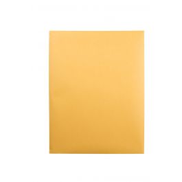 12 x 15-1/2 Catalog Envelopes with Self Seal Closure, for Mailing ...