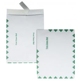 10 x 13 Ship-lite First Class Mail Catalog Envelopes with Self Seal ...