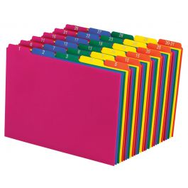 Pendaflex Poly File Guide Sets, Letter size, Assorted
