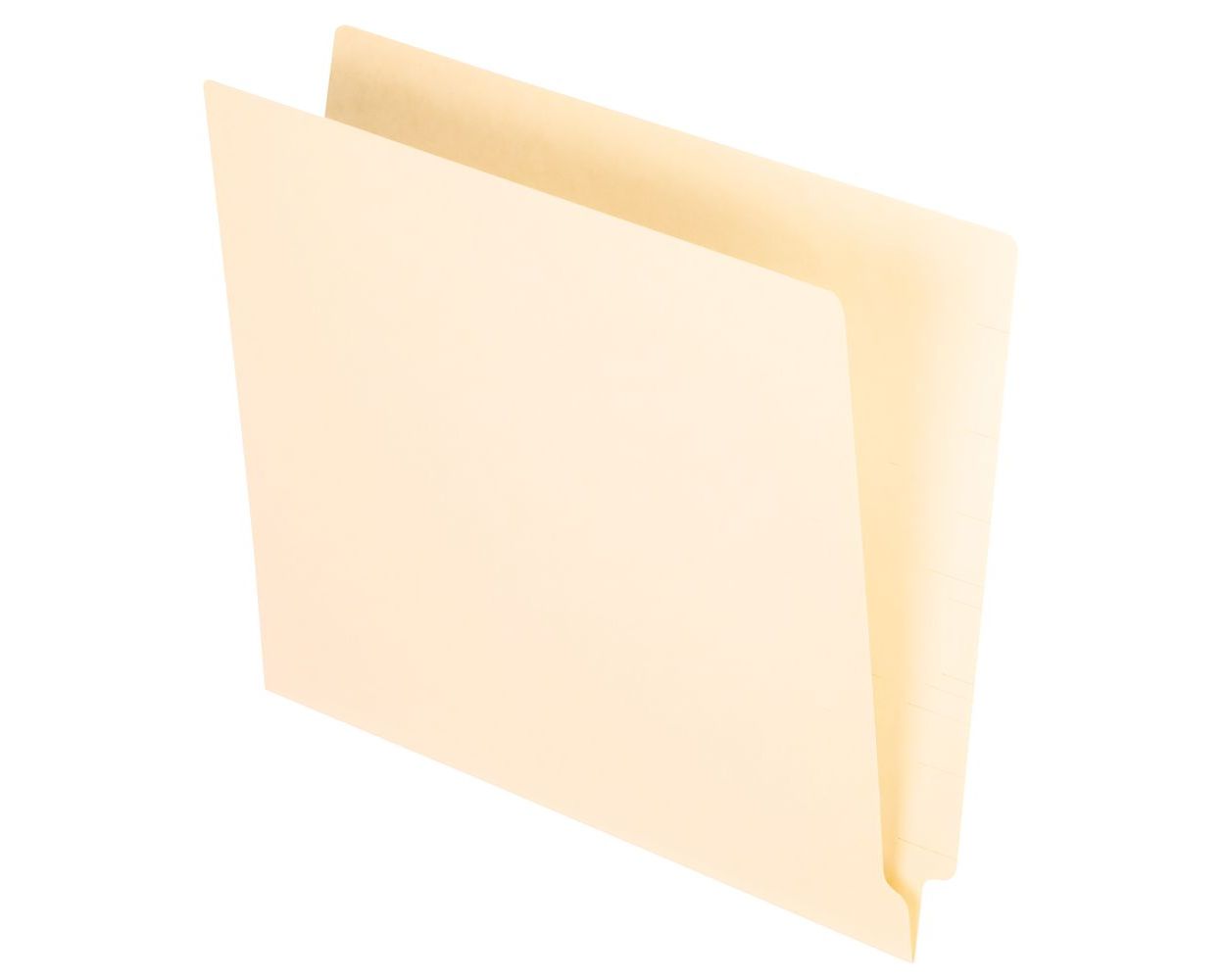 Pendaflex H110 Color End Tab File Folder